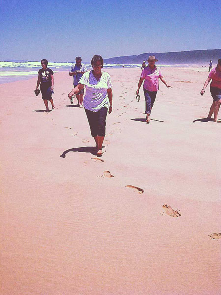 Take a Sho’t Left into Plett – AmaKaya Backpackers Travellers Accommodation