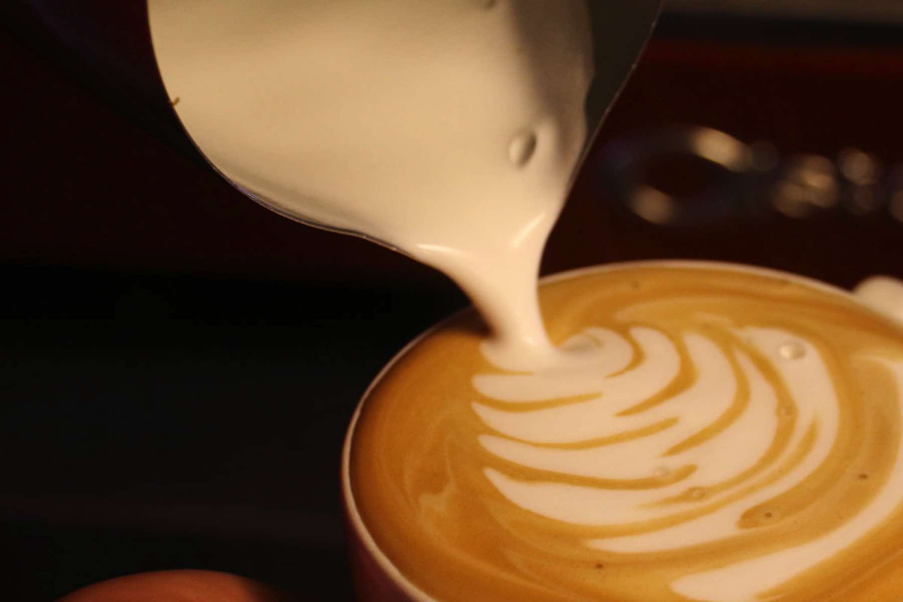 EIGHT GREAT CUPS OF COFFEE IN PLETTENBERG BAY – AmaKaya Backpackers ...