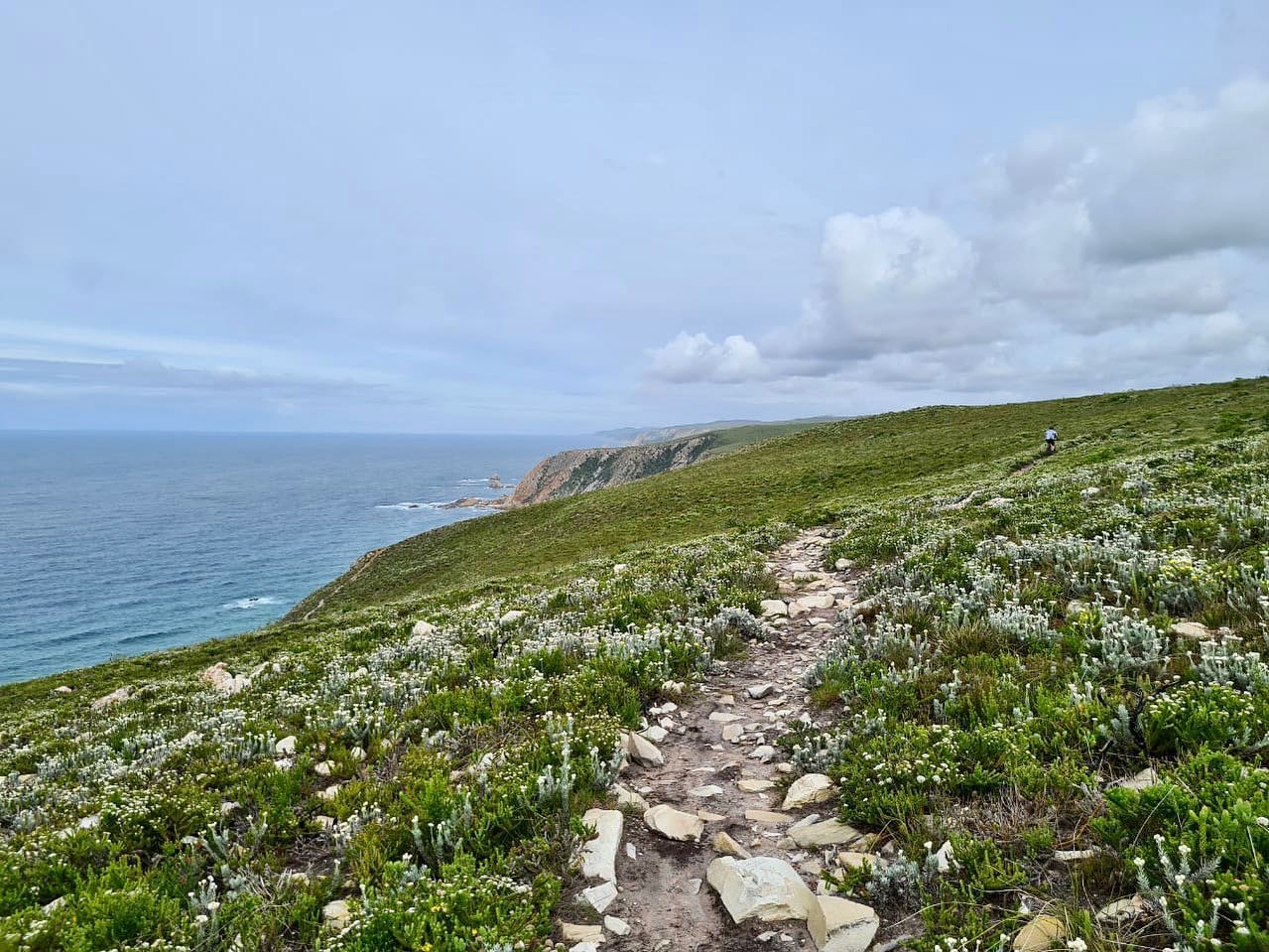 SADDLE UP FOR MTB FUN IN PLETT -2022 – AmaKaya Backpackers Travellers ...